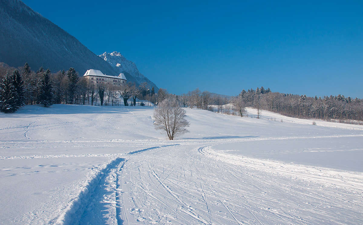Langlaufen in Piding | Rupertiwinkel Berchtesgaden